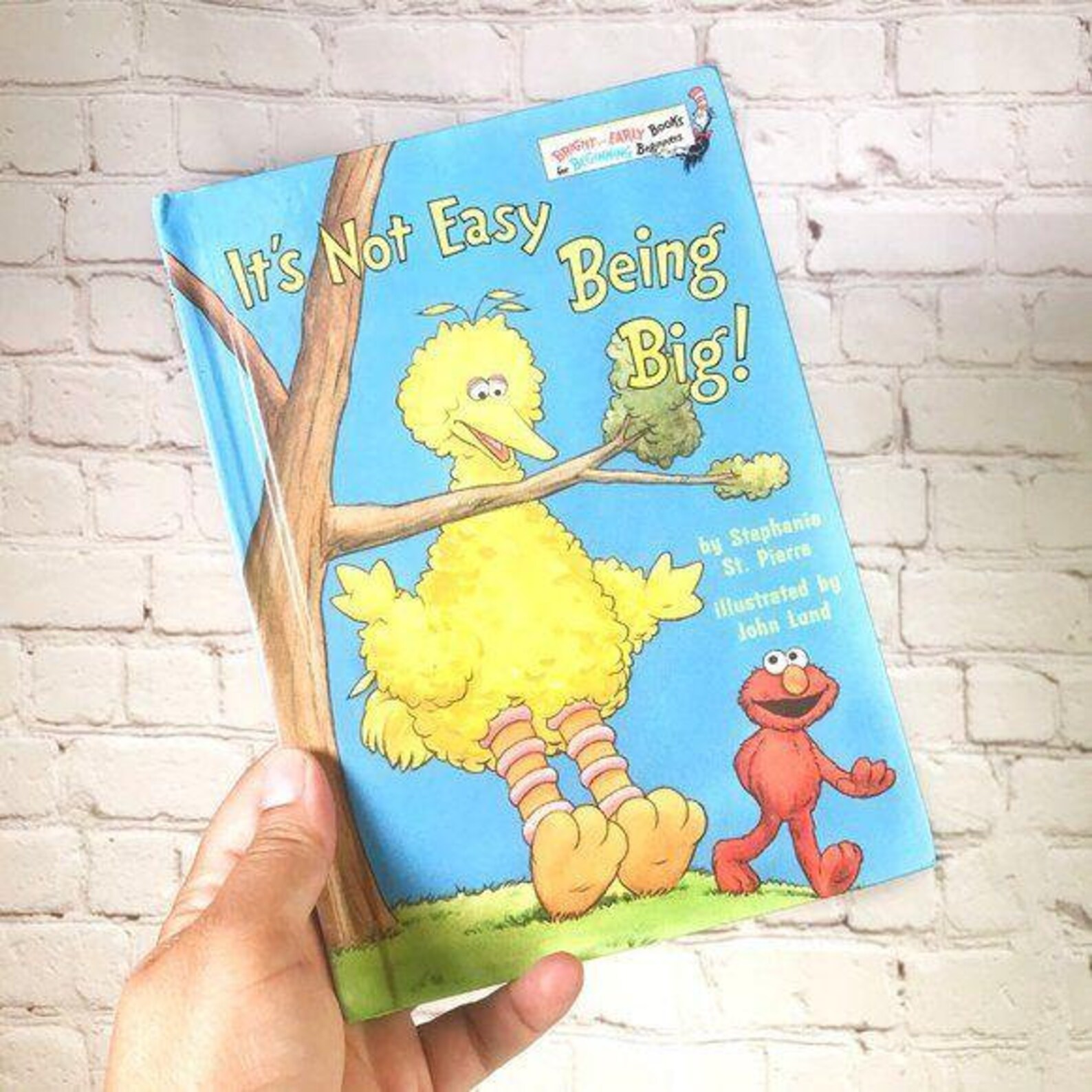 Vintage Sesame Street Not Easy Being Big First Edition Retro | Etsy