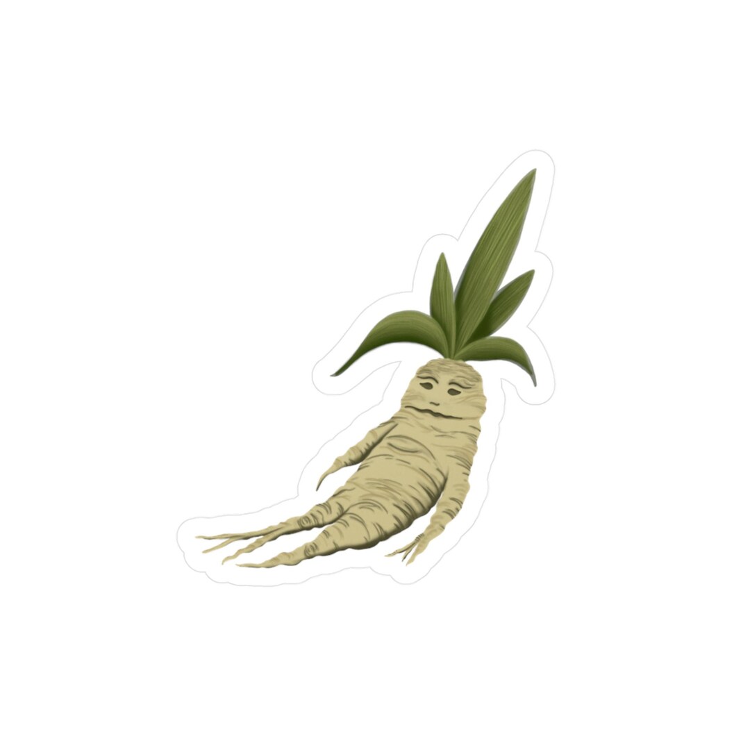 Grumpy Mandrake Vinyl Sticker, Herbology Plant Decal - Etsy