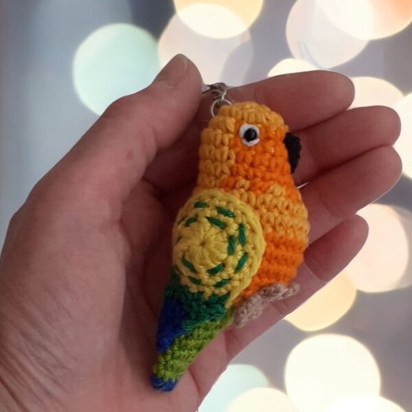 Conure - Etsy