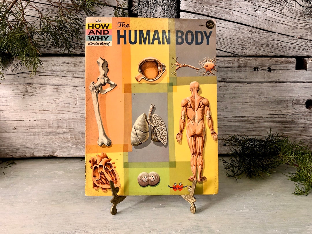 1970 Edition of the How and Why Wonder Book of the Human Body - Etsy
