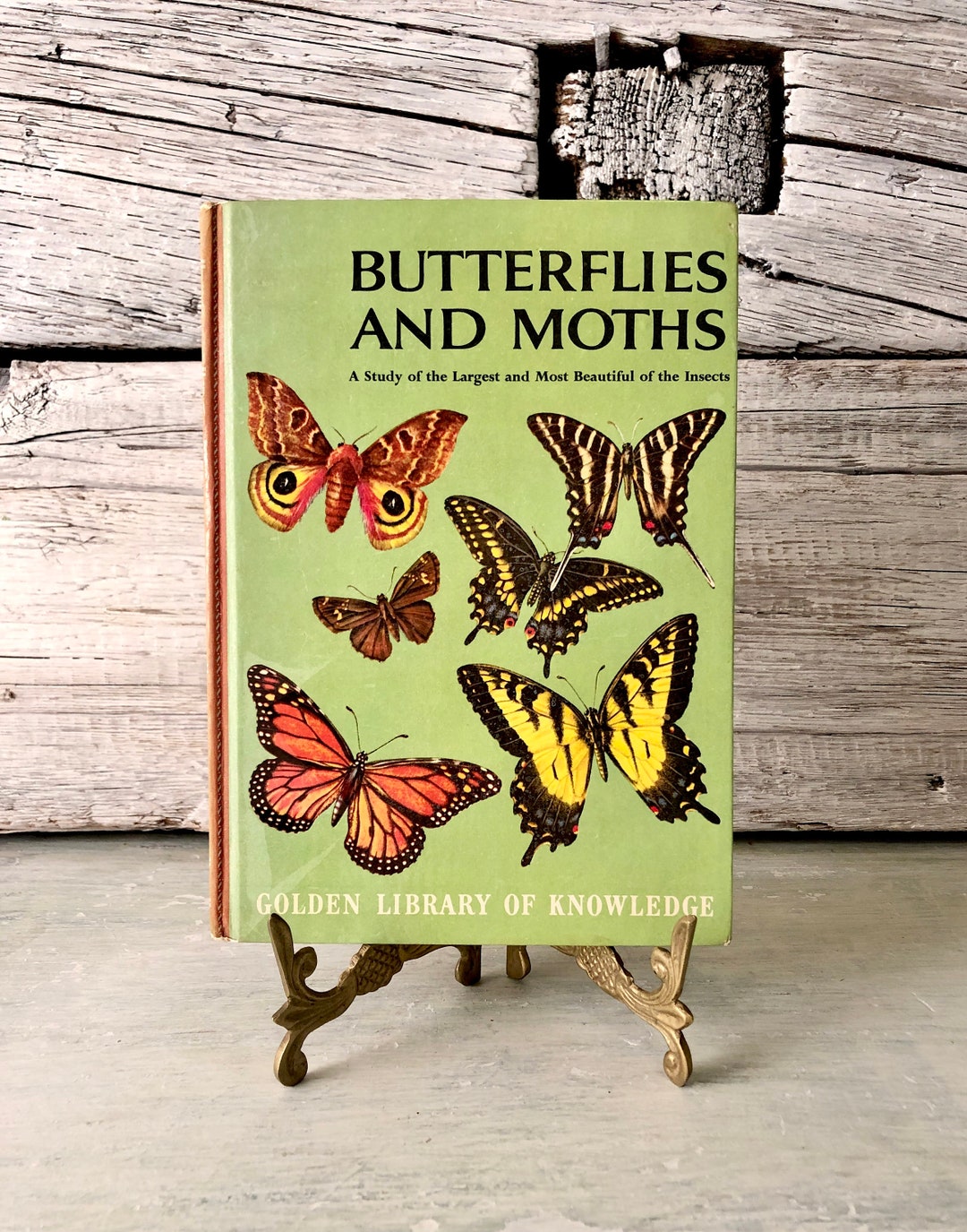 1958 Butterfly and Moths, Golden Library of Knowledge - Etsy
