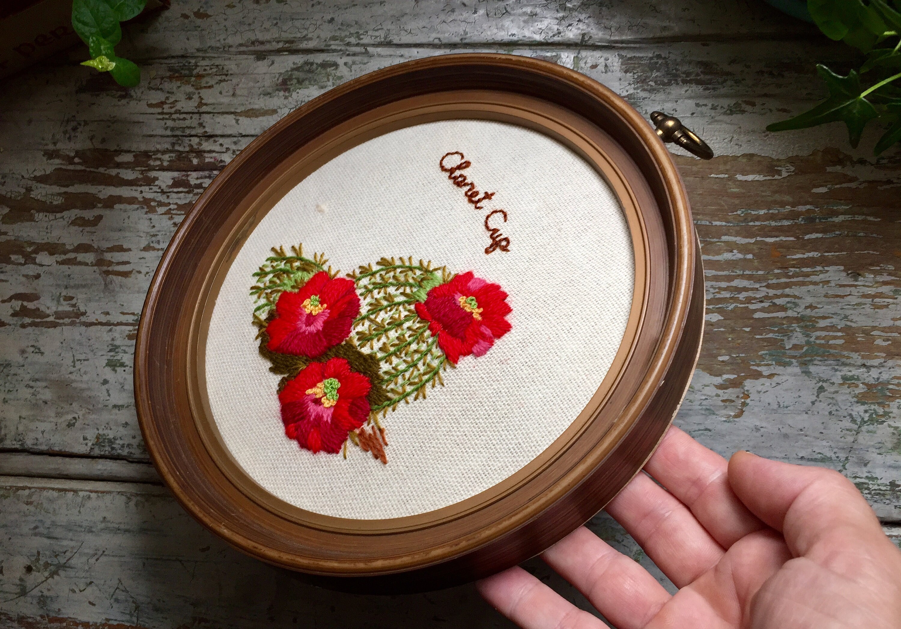 Crewel Embroidery of a Claret Cup Cactus; Spinnerin Stitchery - Etsy
