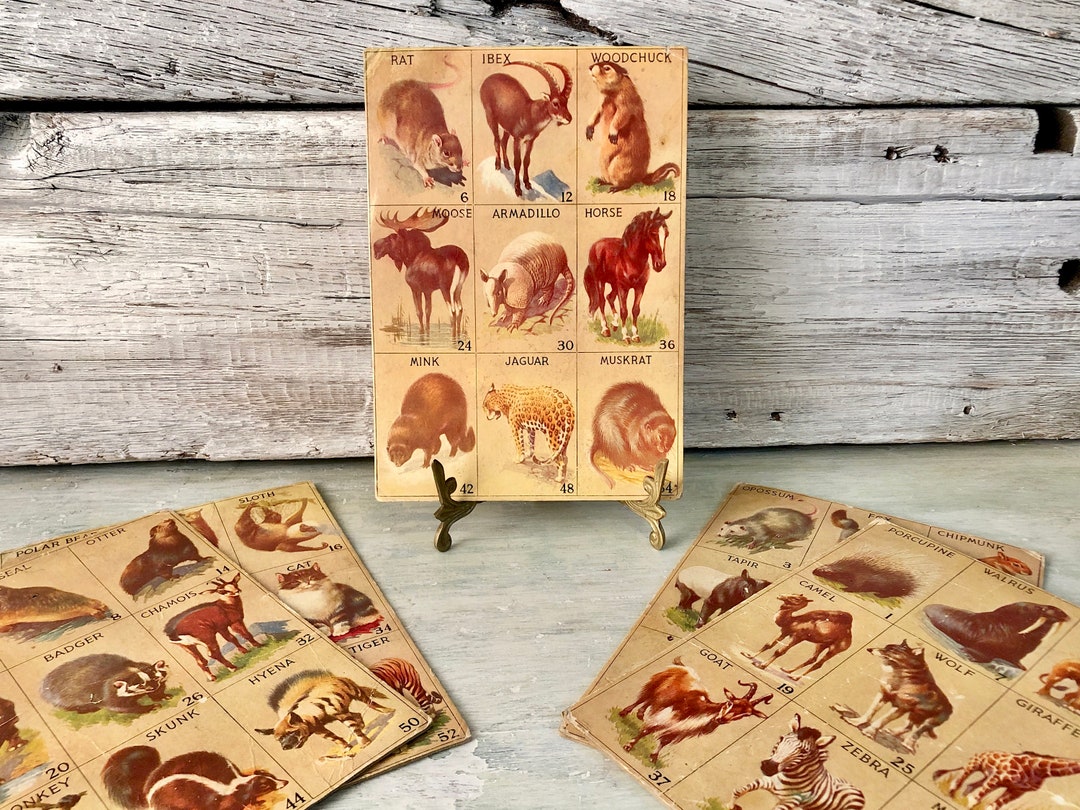 Antique Animal Game Cards; 45 Cards in All - Etsy