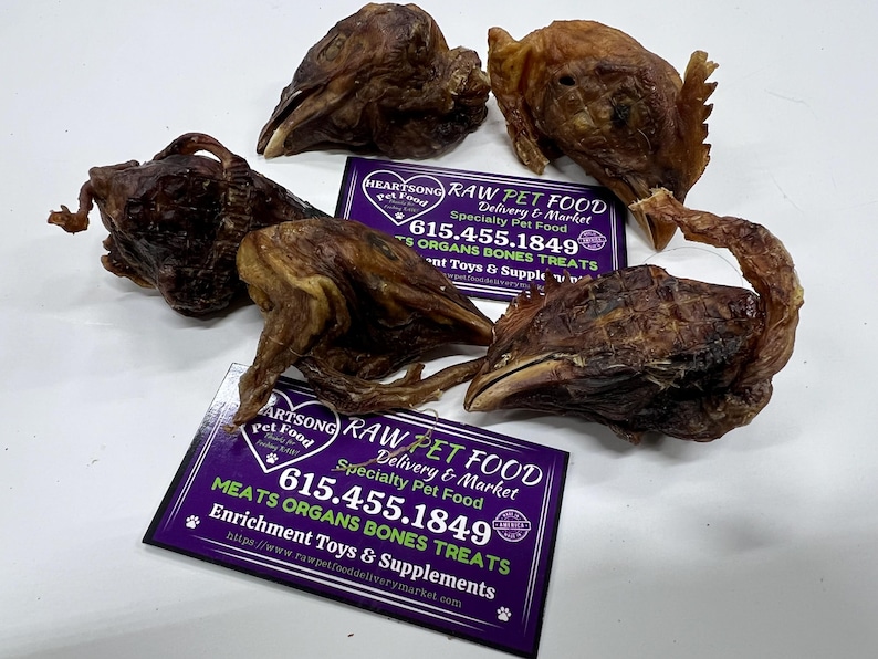 Chicken Head Whole Dehydrated, 25 Pack, Treats Chews Bone - Etsy