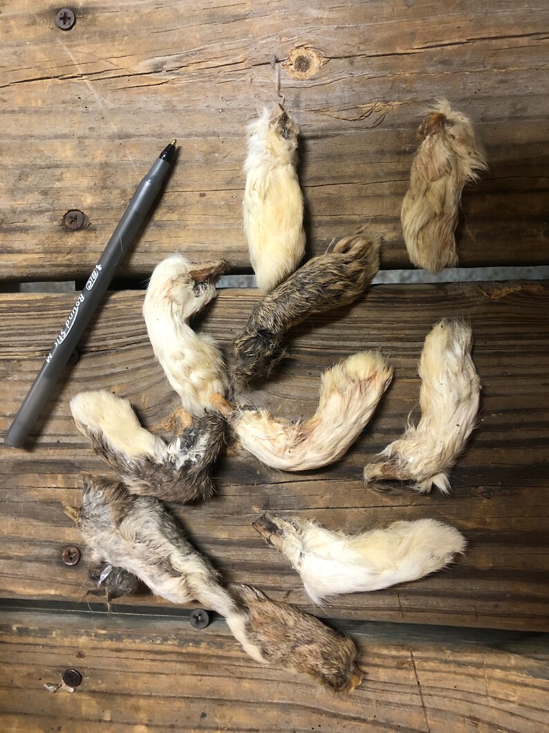 Rabbit Feet FRONT FEET Dehydrated 5 Pack Hair on Treats - Etsy