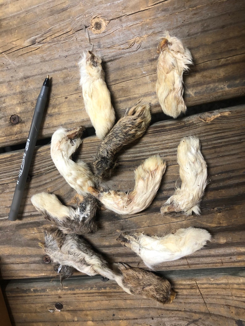 Rabbit FRONT FEET, Dehydrated 5 Pack, Hair on Treats Chews Bone Ear - Etsy