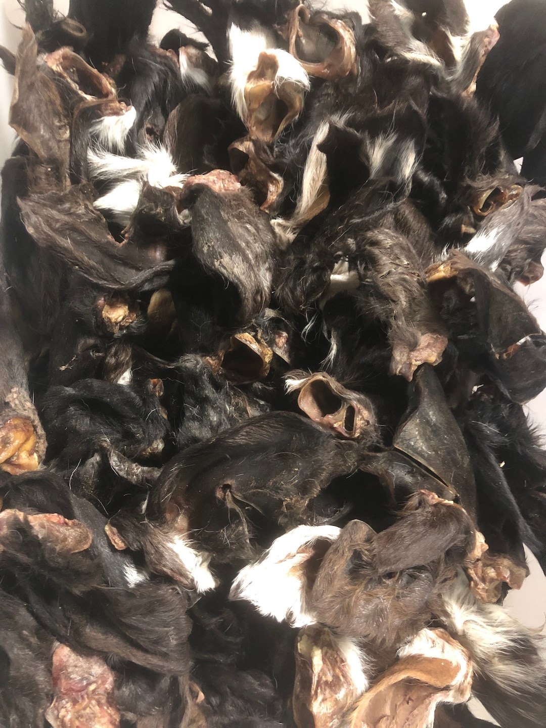 BEEF CALF Ears 10 Pack, Dehydrated Hair on Treats Chews Bone Beef Cow ...