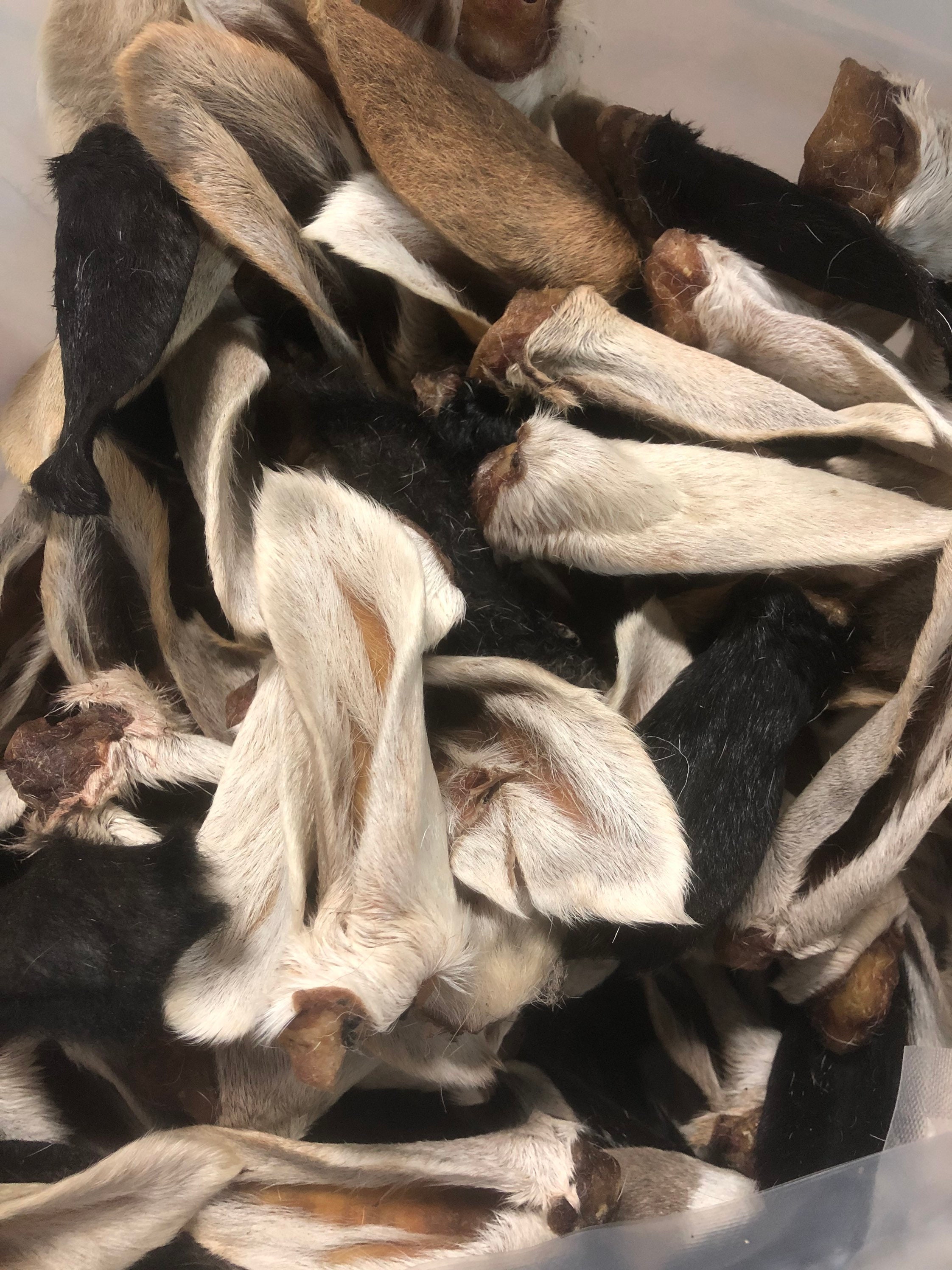 Lamb Dehydrated Ears, 4 Pack, Hair on Treats Chews Bone Ear - Etsy