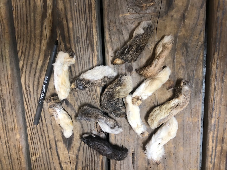 Rabbit FRONT FEET, Dehydrated 5 Pack, Hair on Treats Chews Bone Ear - Etsy