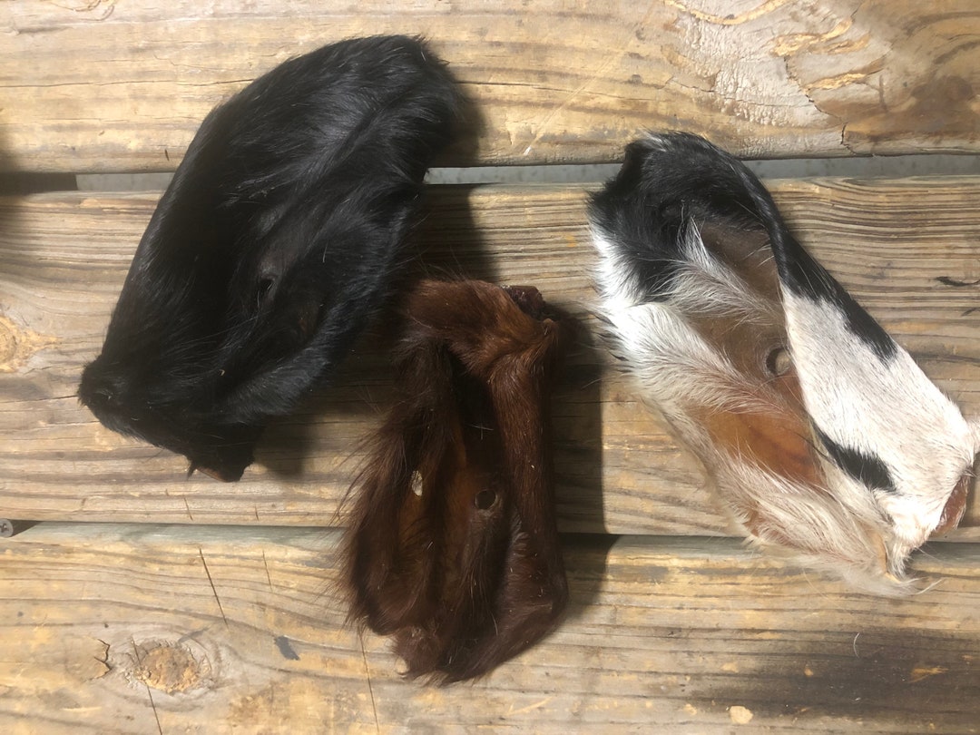 Hairy Ears Assorted, 5 Piece or 10 Pieces, Dehydrated, Cow Goat Lamb ...