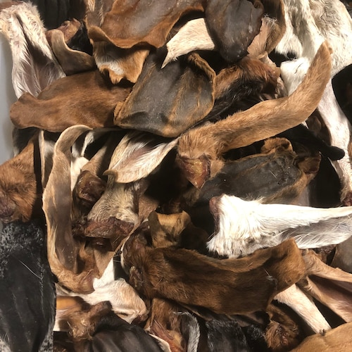 Rabbit Feet Dehydrated 5 Pack Hair on Treats Chews Bone Ear - Etsy