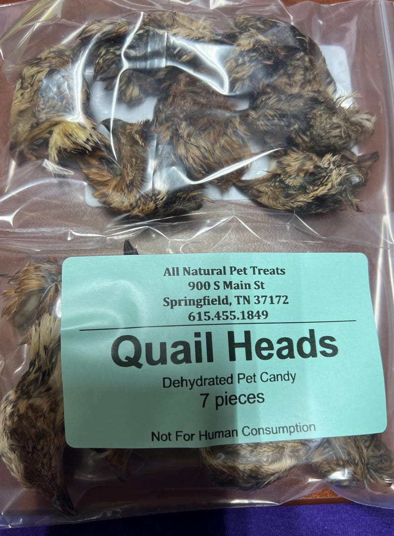 Quail Heads Whole, Dehydrated All-natural Pet Candy Treat - Etsy