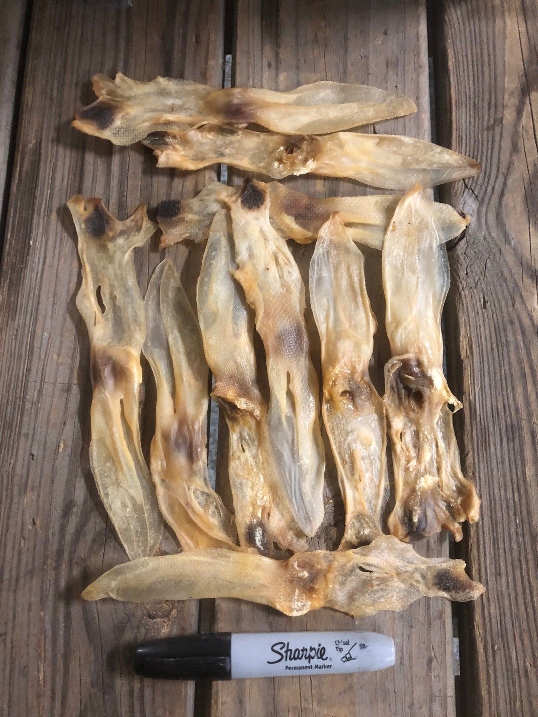 Rabbit Ears Hairless Dehydrated 10 Pack NO HAIR Treats Chews - Etsy