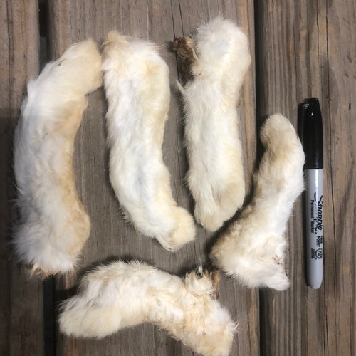 Rabbit Feet Dehydrated 5 Pack Hair on Treats Chews Bone Ear - Etsy