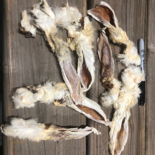 Rabbit Feet Dehydrated 5 Pack Hair on Treats Chews Bone Ear - Etsy