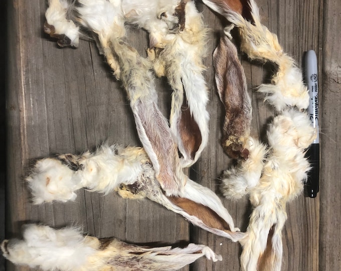 Natural Rabbits Ears With Fur - Etsy UK