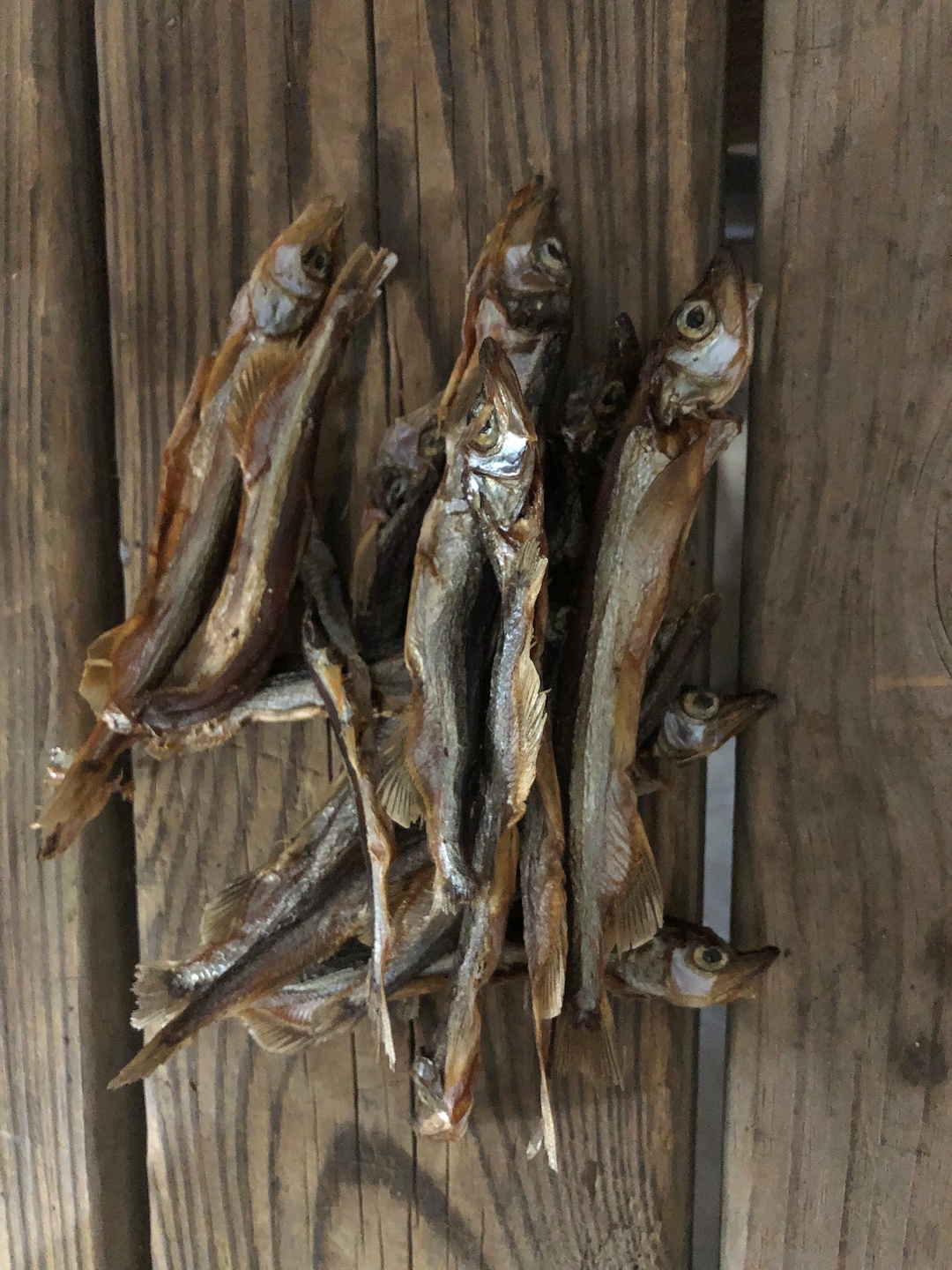 Capelin Fish Atlantic Large 10 Oz Bag Dehydrated All-natural Pet Candy ...