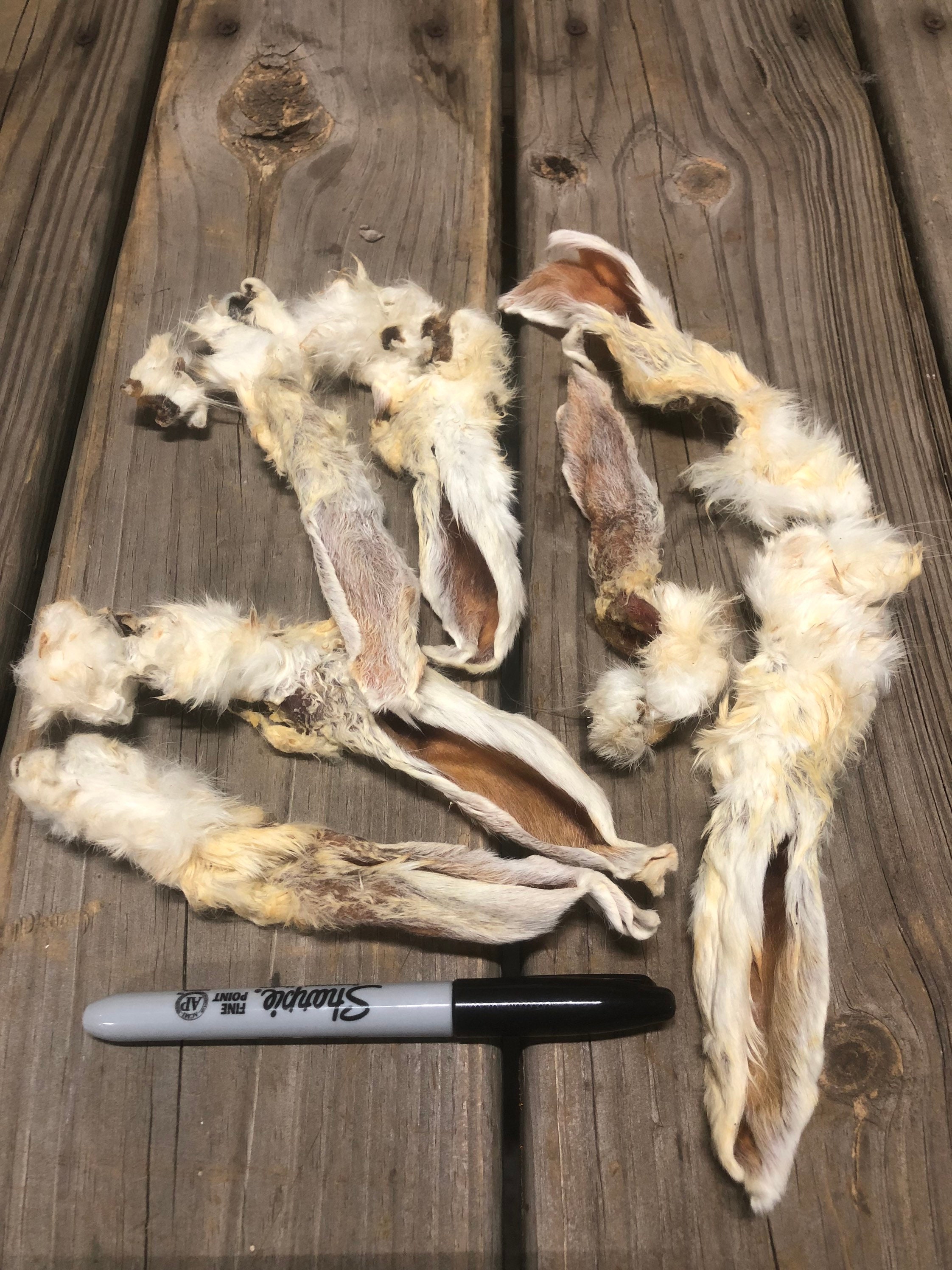 Rabbit Ears Dehydrated 10 Pack Hair on Treats Chews Bone Ear - Etsy