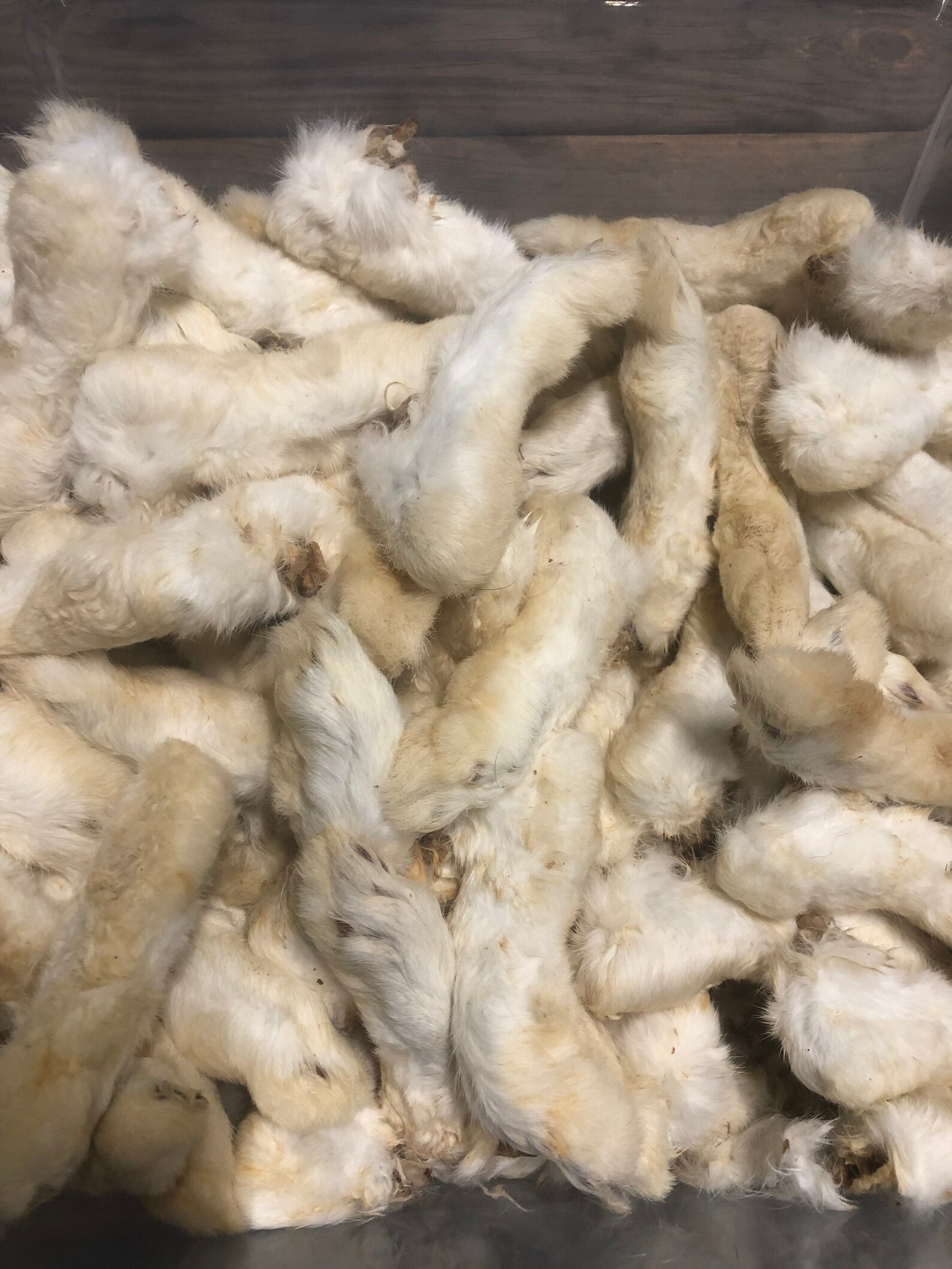 Rabbit Feet Dehydrated 5 Pack Hair on Treats Chews Bone Ear - Etsy