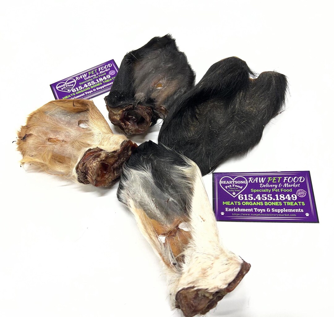 Beef Cow Ears, 25 Pack, Dehydrated Hair on Treats Chews Bone Cow Ear - Etsy