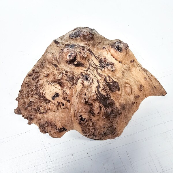 Burl - Etsy