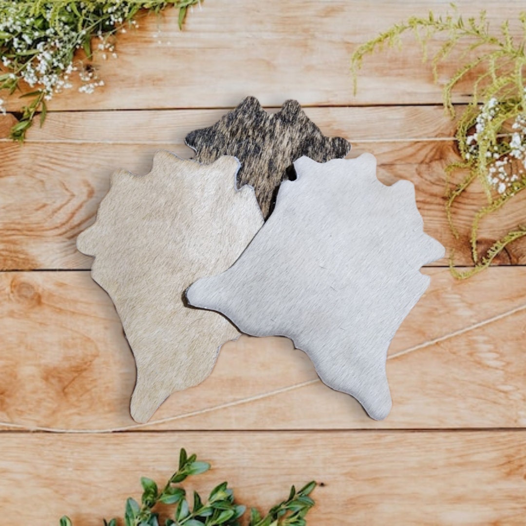 Genuine Cowhide Coasters: Hair-on Hide, Western Decor - Etsy