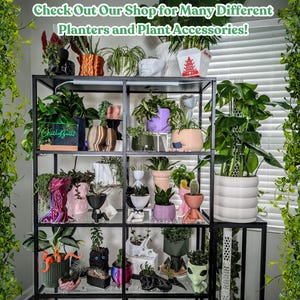 Cauldron Planter - Halloween Decorations - Fall Decor - Witchy Plant ...