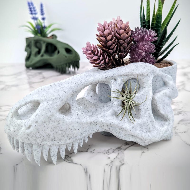 House Plant Pot Skull - Etsy