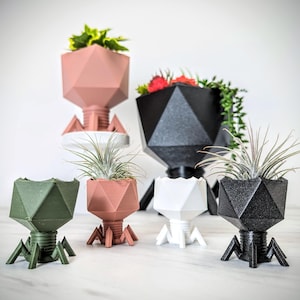 Virus Planter, T4 Bacteriophage, Biology Science Gift, Office Decor ...