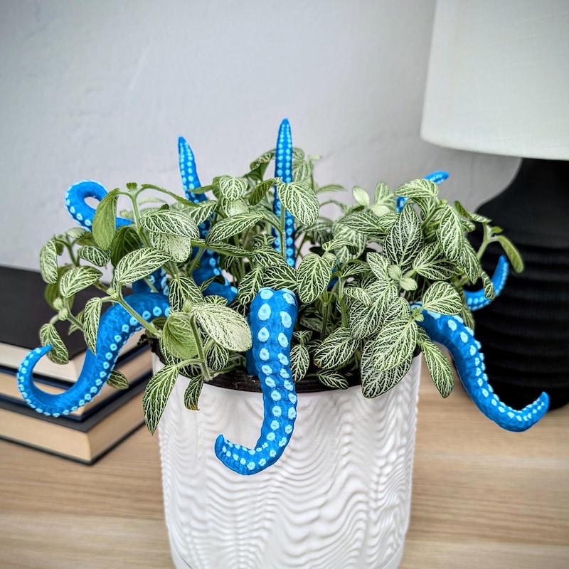 Octopus Planter - Etsy