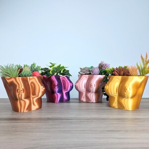 Boob Planter - Nude Plant Pot - Woman Breast Planters - Coquette ...