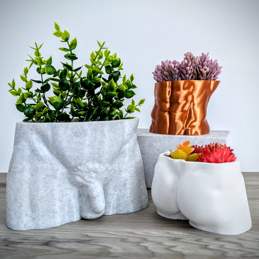Man Butt Planter, Male Torso Plant Pot, Human Body Art - Penis ...