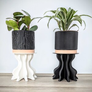 Curvy Plant Stand for Indoor Plants, Plant Pot Table, Plant Holder ...