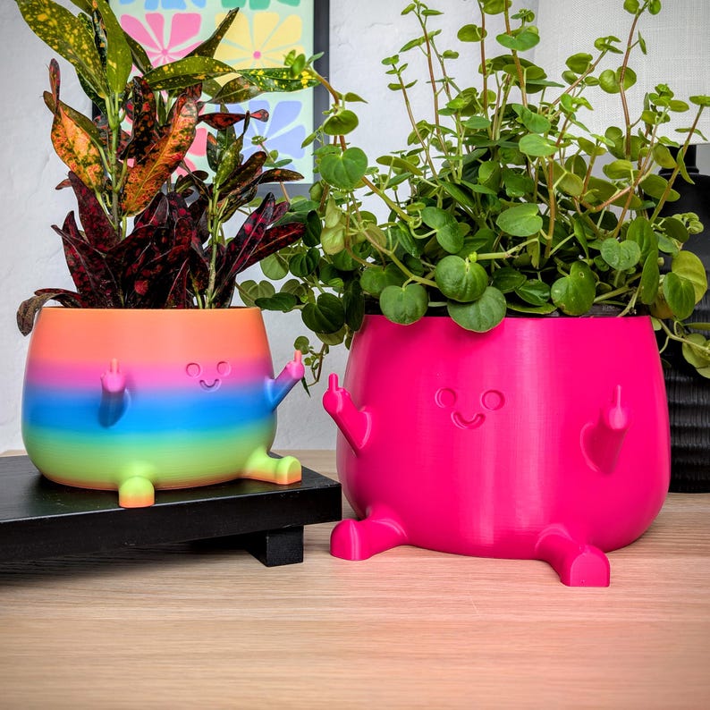 Middle Finger Happy Planter, Gag Gift, White Elephant Gift, Funny Gift ...