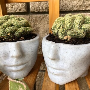 Head Face Planters Face Pot Head Planters Pots for Plants - Etsy Canada