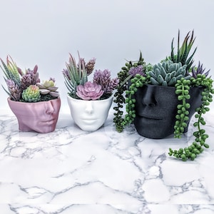 Head Face Planters Face Pot Head Planters Pots for Plants - Etsy Canada