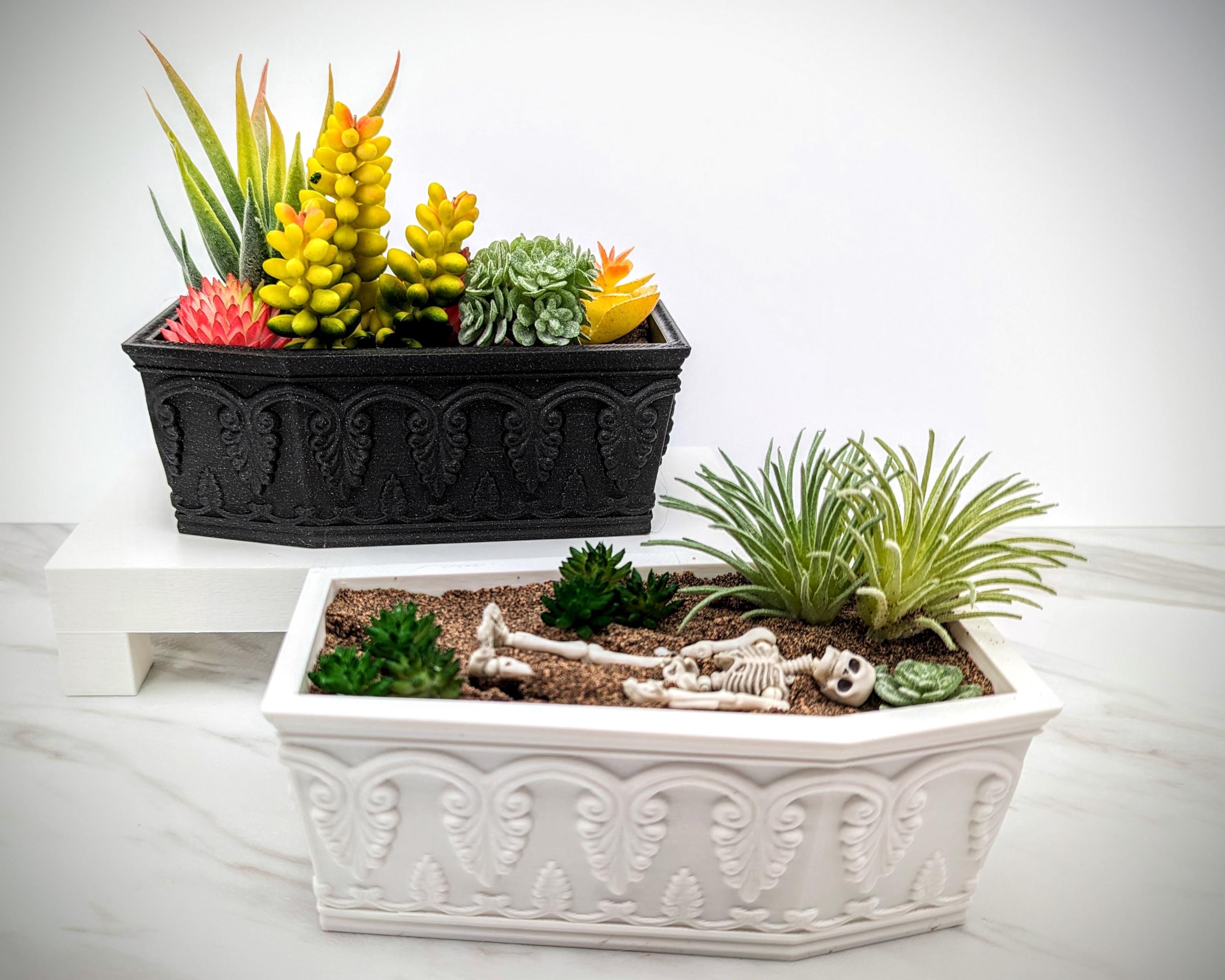 Coffin Planter, Halloween Decor, Coffin Trinket, Cache All Dish, Gothic ...