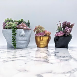 Head Face Planters Face Pot Head Planters Pots for Plants - Etsy Canada