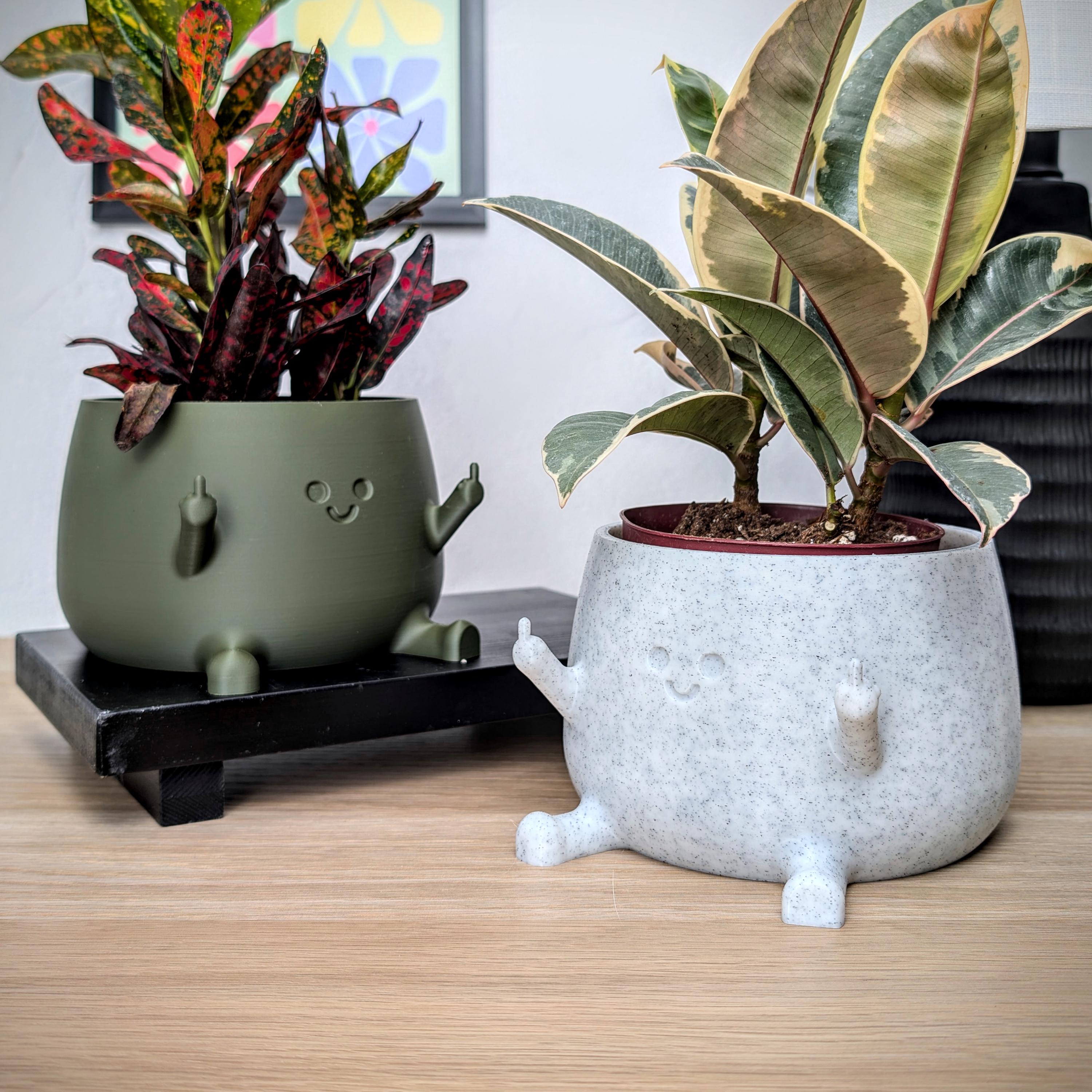 Middle Finger Happy Planter, Gag Gift, White Elephant Gift, Funny Gift ...