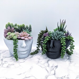 Head Face Planters Face Pot Head Planters Pots for Plants - Etsy Canada