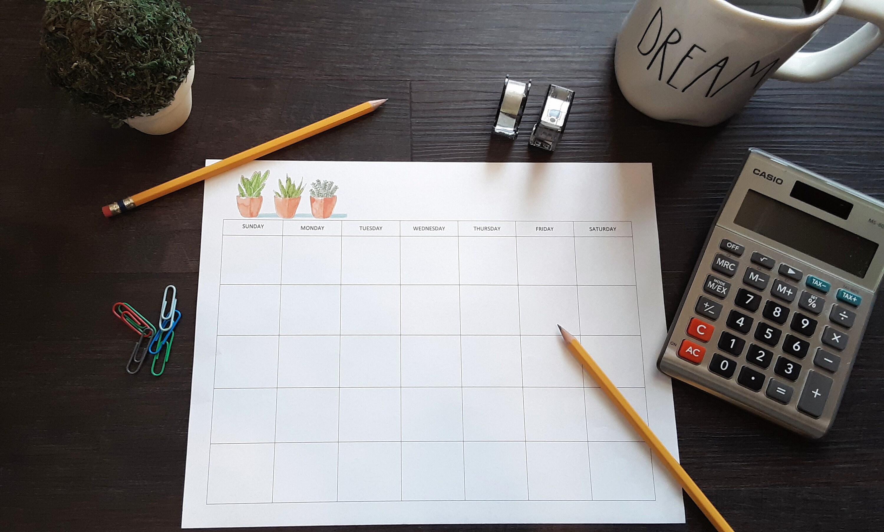 Sunday and Monday Start Terra Cotta Succulents Printable Blank Monthly ...