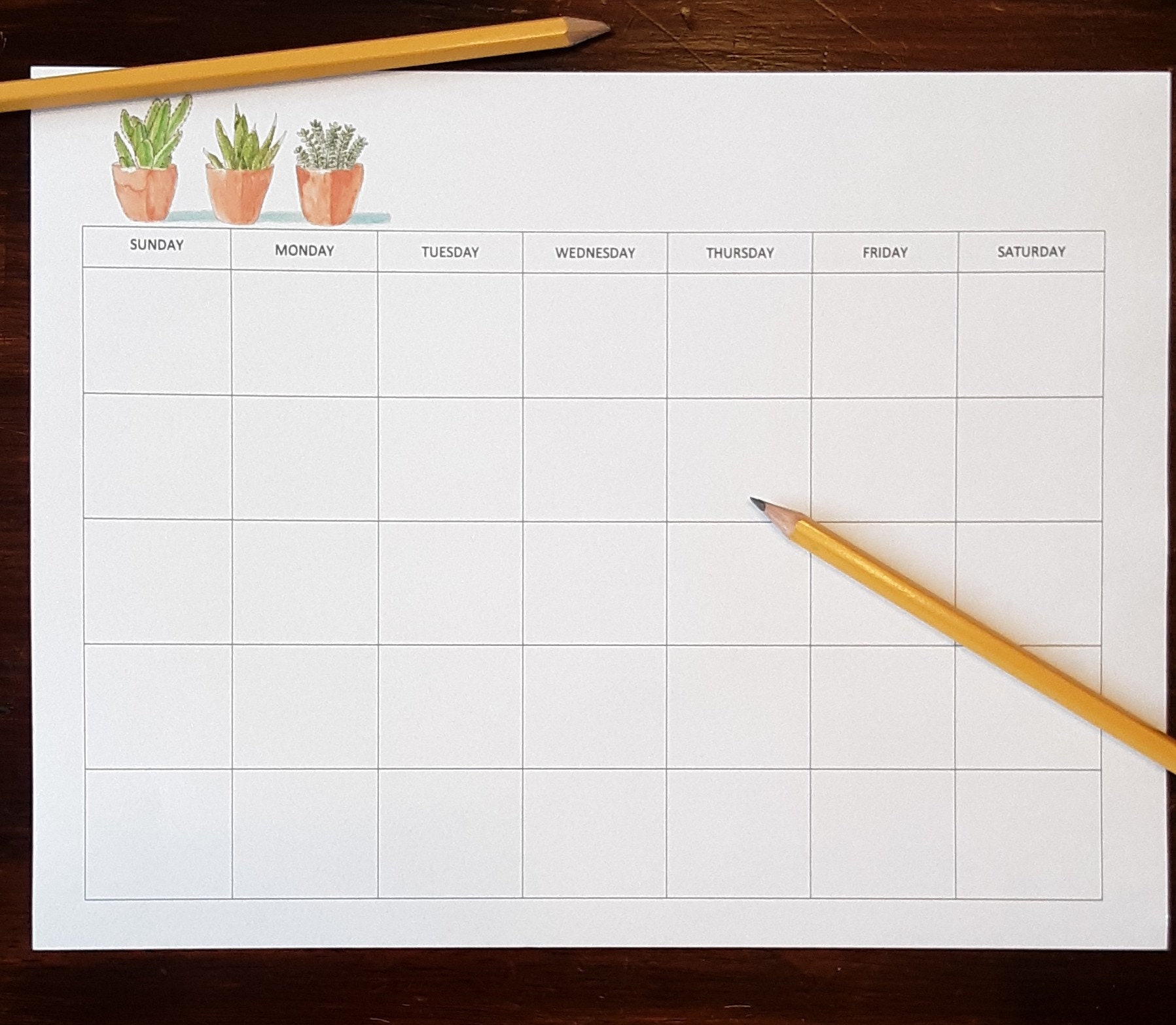 Sunday and Monday Start Terra Cotta Succulents Printable Blank Monthly ...