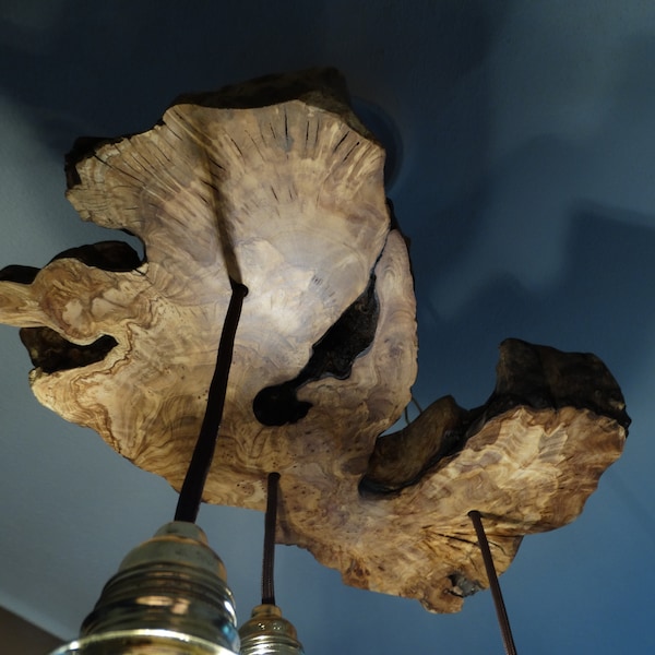 Rustic Ceiling Light - Etsy