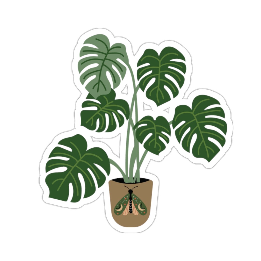 Monstera Plant Sticker, Tropical Greenery Decal, Plant Mom Gift - Etsy