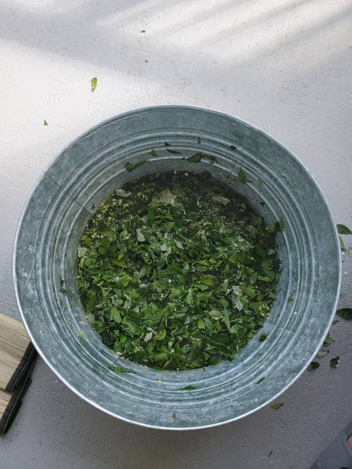 24 Bottles Cleansing Omiero Umiero with 7 Herbs Santeria Osha | Etsy