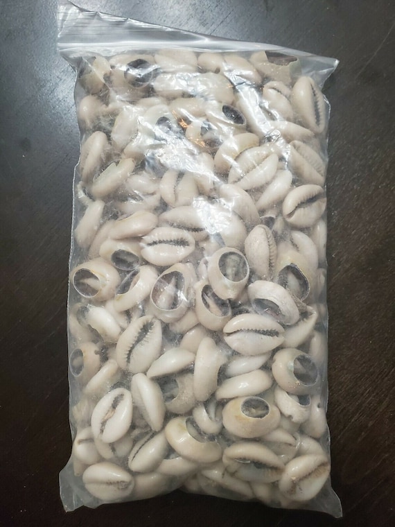Bolsa De Caracoles Dilogun Cowrie Shells 1lbs Religion Ifa - Etsy