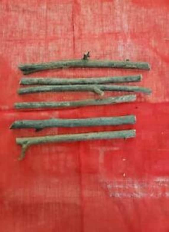 6 Palo Cambia Rumbo Santeria Palo Prenda | Etsy