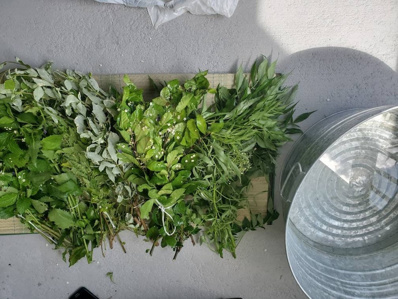 Cleansing Omiero Umiero: 7 Herbs, Santeria Osha Palo Egun Ifa Orisha ...