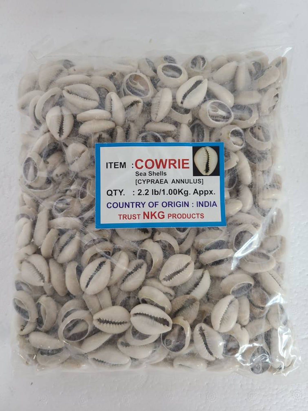 Bolsa De Caracoles Dilogun Cowrie Shells 1kilo 2.2lbs Religion Ifa ...