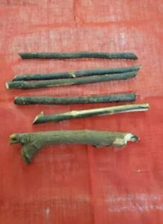 6 Palo Morruro Santeria Palo Prenda | Etsy